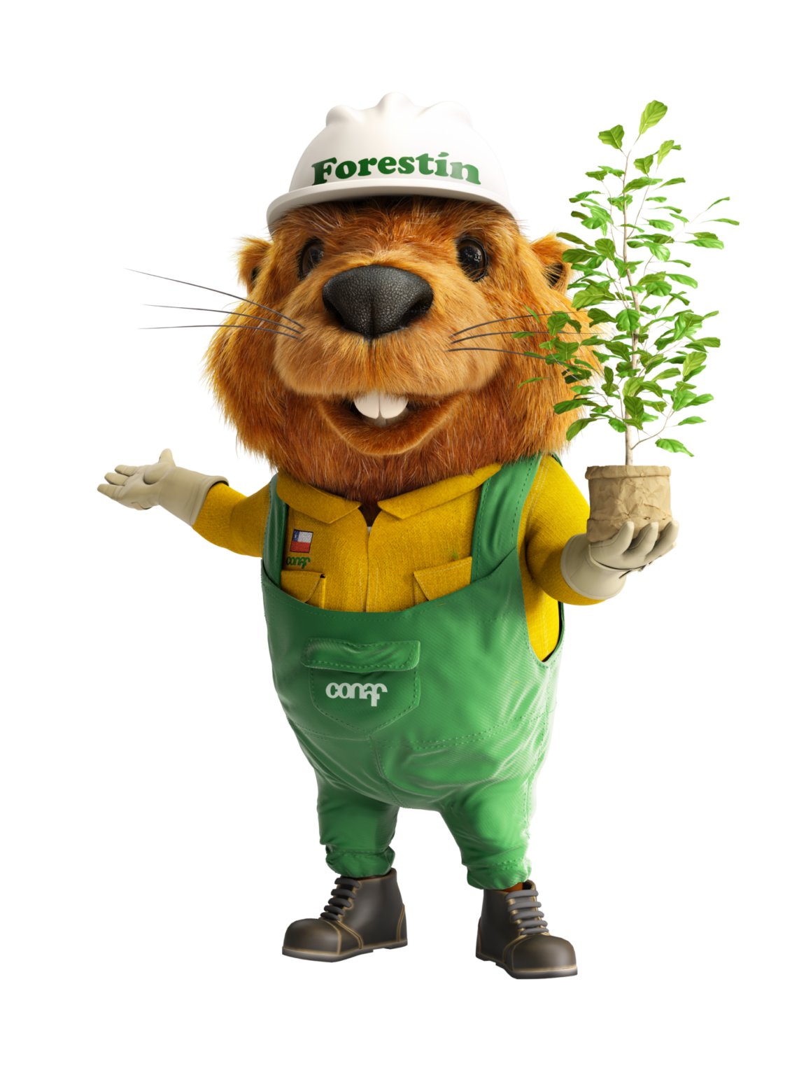 CONAF publica cartografía de áreas de protección para estudios ...