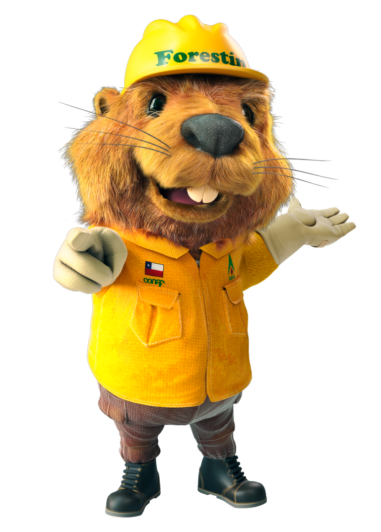 Parques Nacionales - CONAF