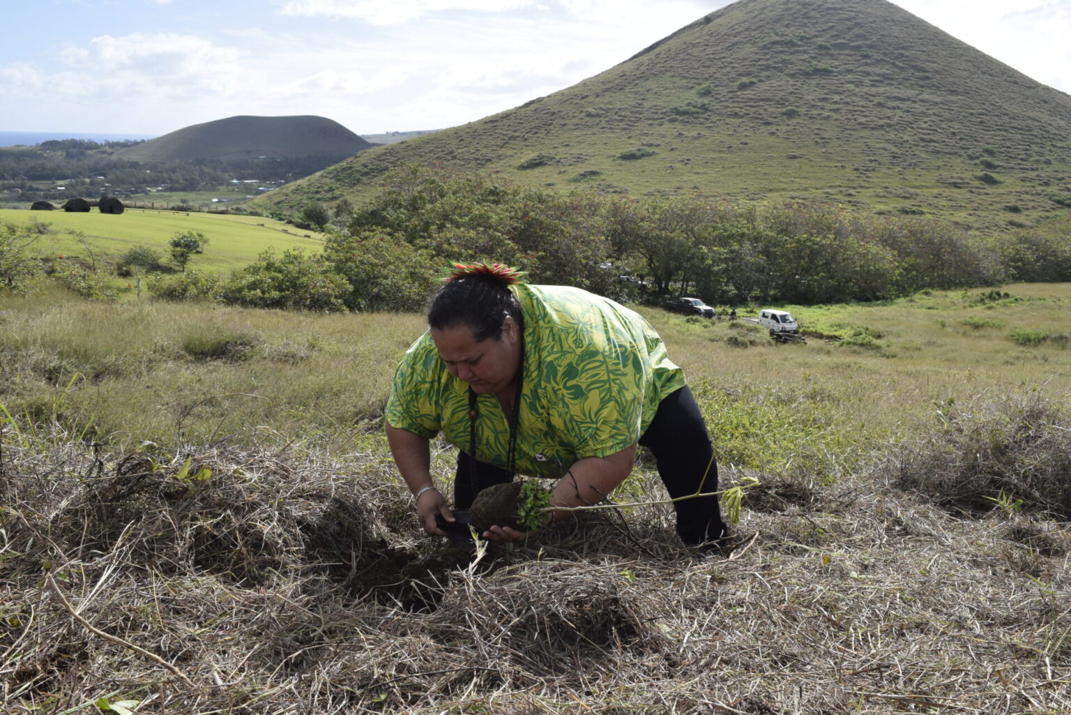 Primera plantación demostrativa de programa que promueve adaptación al ...