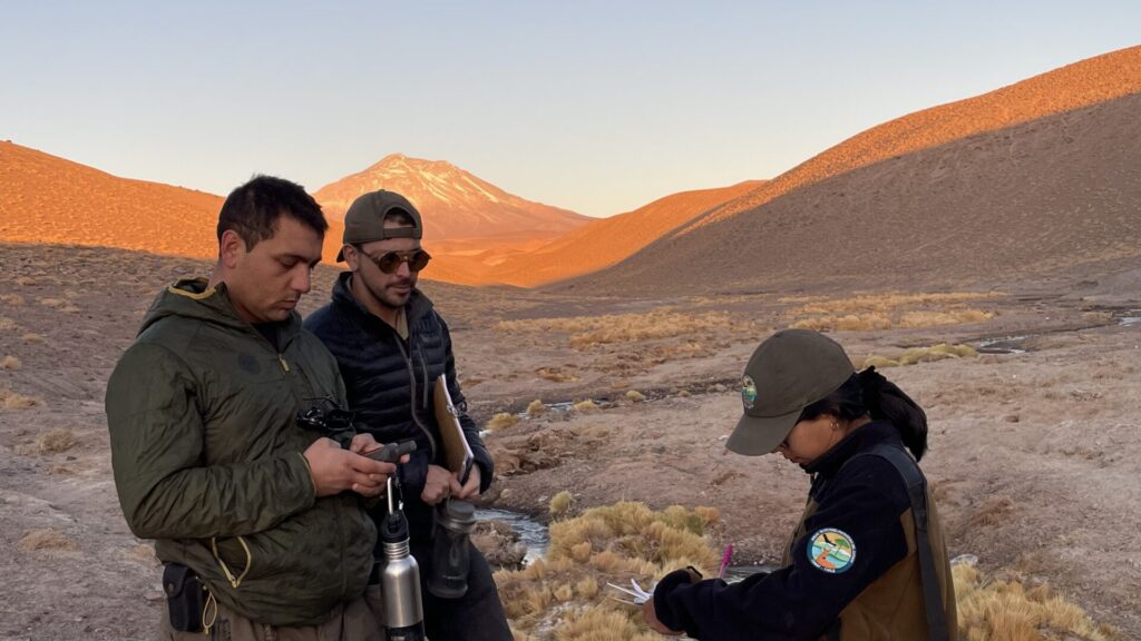 CONAF inicia campaña para estudiar felinos en Parque Nacional ...