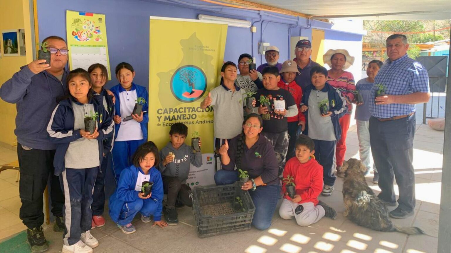 En el Día del Medio Ambiente, CONAF Arica se desplegó por la región ...