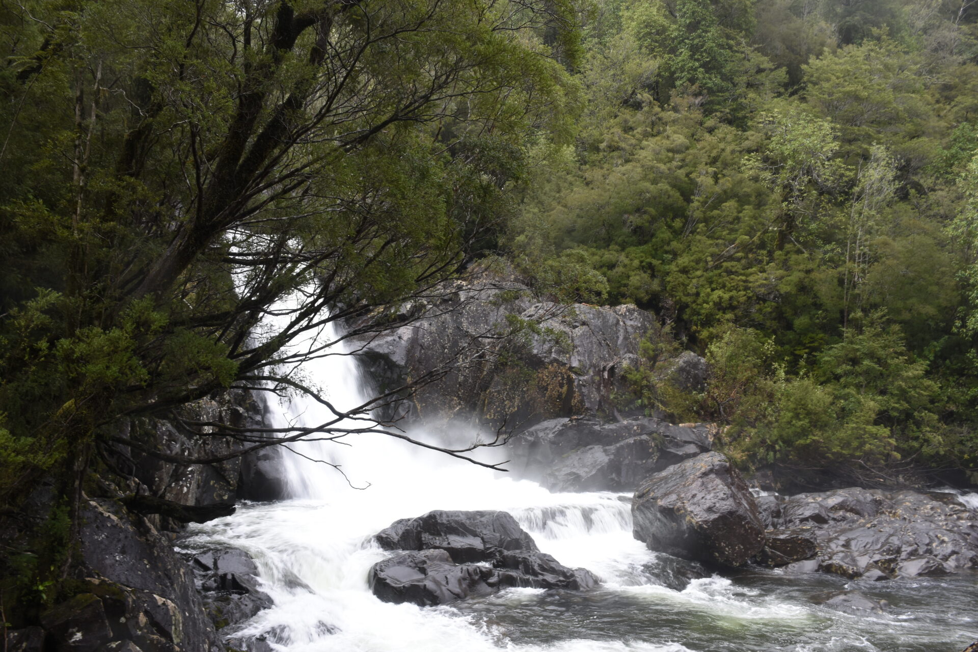 Parque Nacional Alerce Andino CONAF Parque Nacional Alerce Andino CONAF