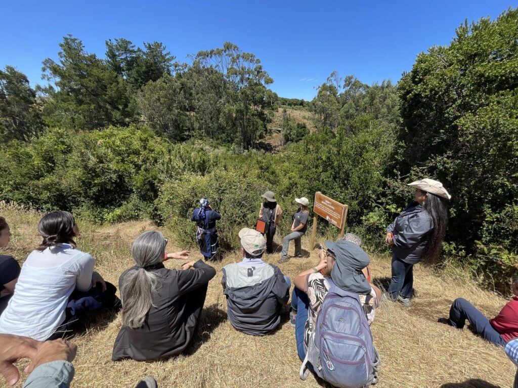 Importante alianza entre CONAF y Chilean Carbon Forum 2024 - CONAF