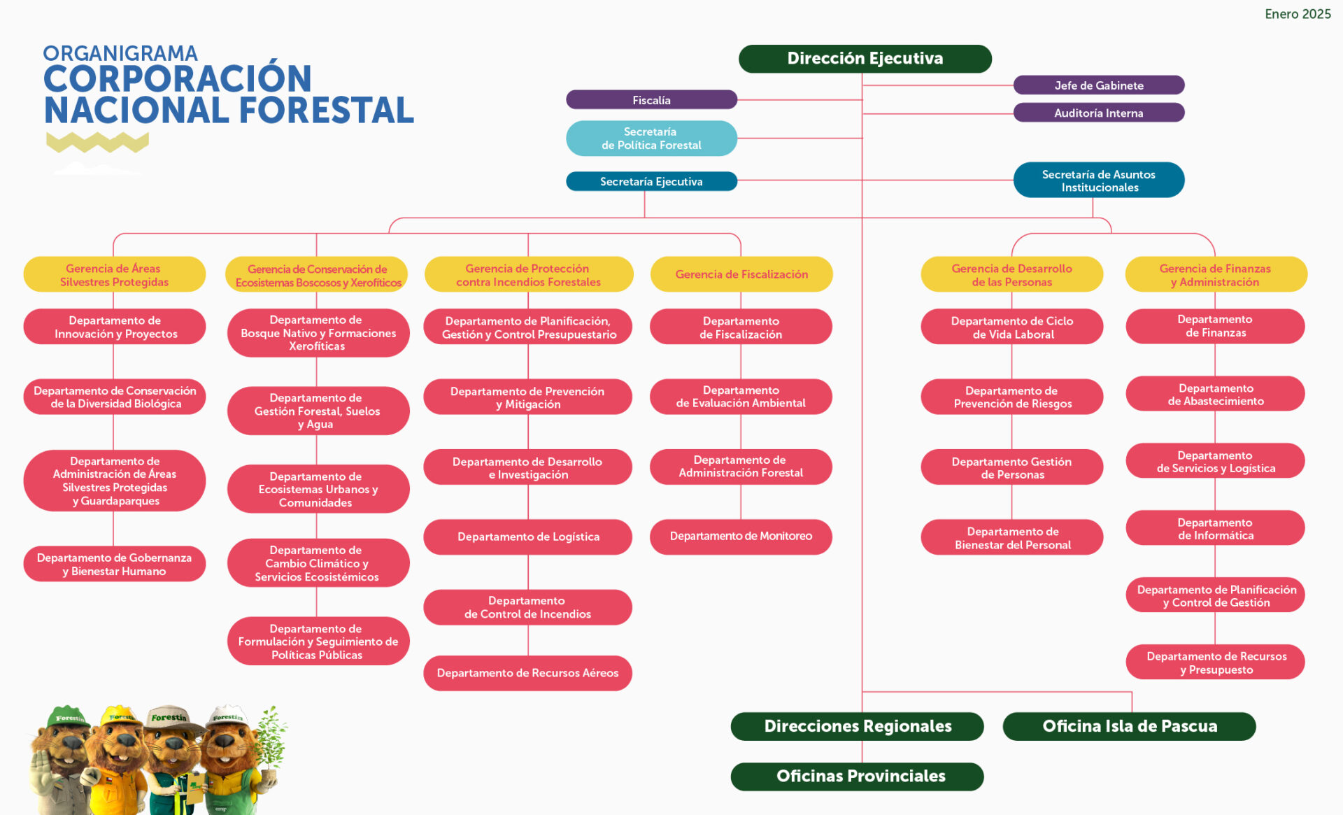 Organigrama Institucional Conaf
