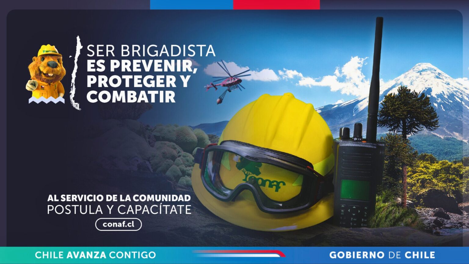 Ministerio de Agricultura y CONAF llaman a postular a los mejores ...