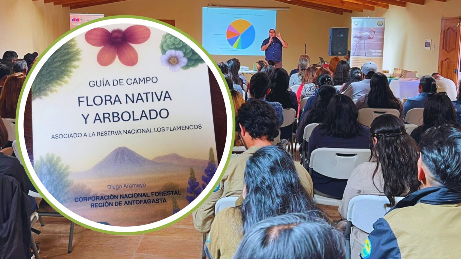 Rescatan flora nativa y saberes Lickanantay en nueva guía del Desierto ...