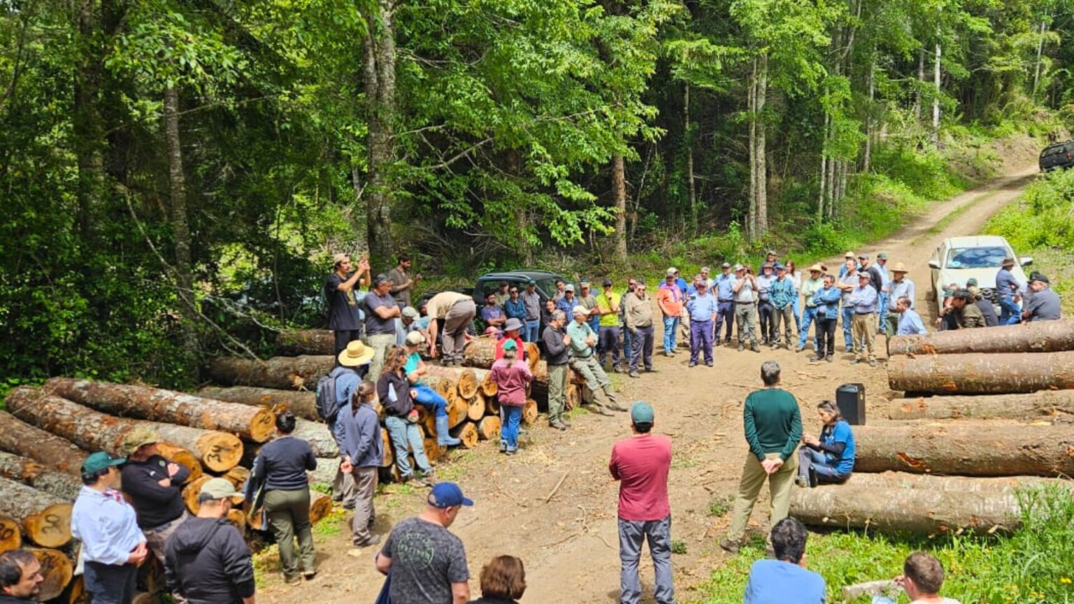 Con alta participación, culminó la Primera Cumbre del Bosque Nativo en ...